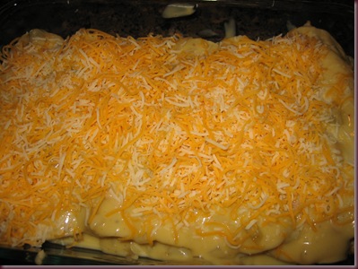 Shrouded in a cheese blanket - The Fitnessista